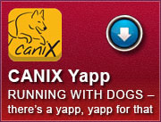CaniX – running with dogs - promoting a healthy lifestyle for you and ...
