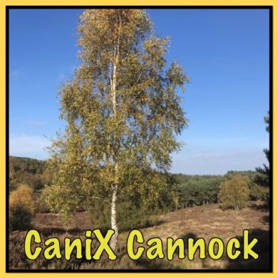 CaniX UK - CaniCross - running with dogs - CaniX CHAMPIONSHIP 16,17/03 ...