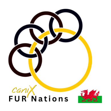 CaniX UK - CaniCross - running with dogs - 2025 CaniX Fur Nations ...